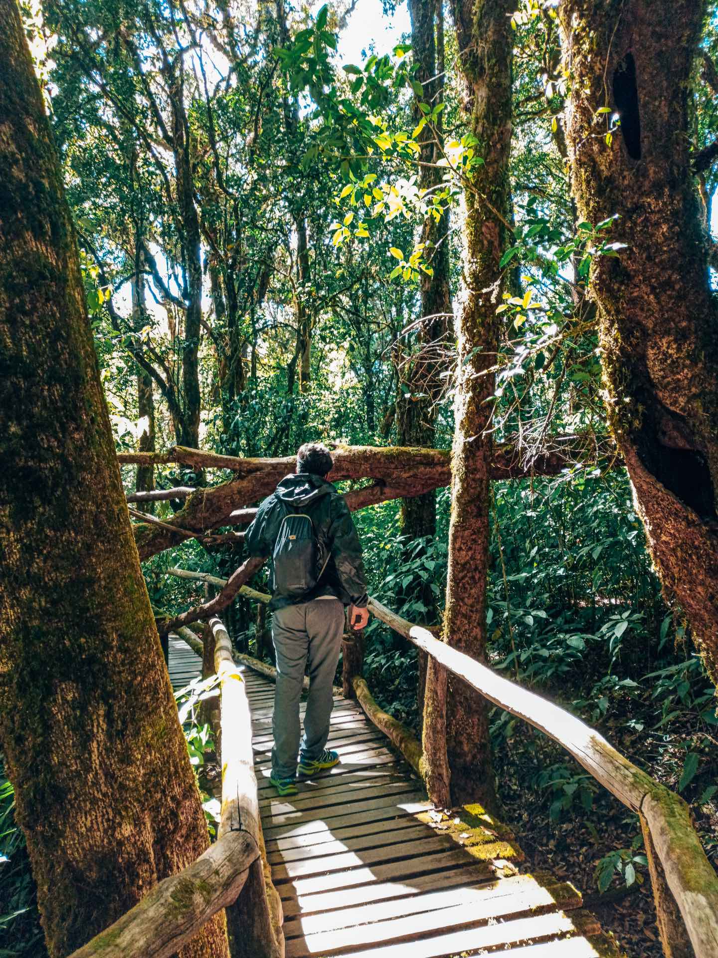 Qué ver y hacer en el Parque Nacional Doi Inthanon | Travelling to live