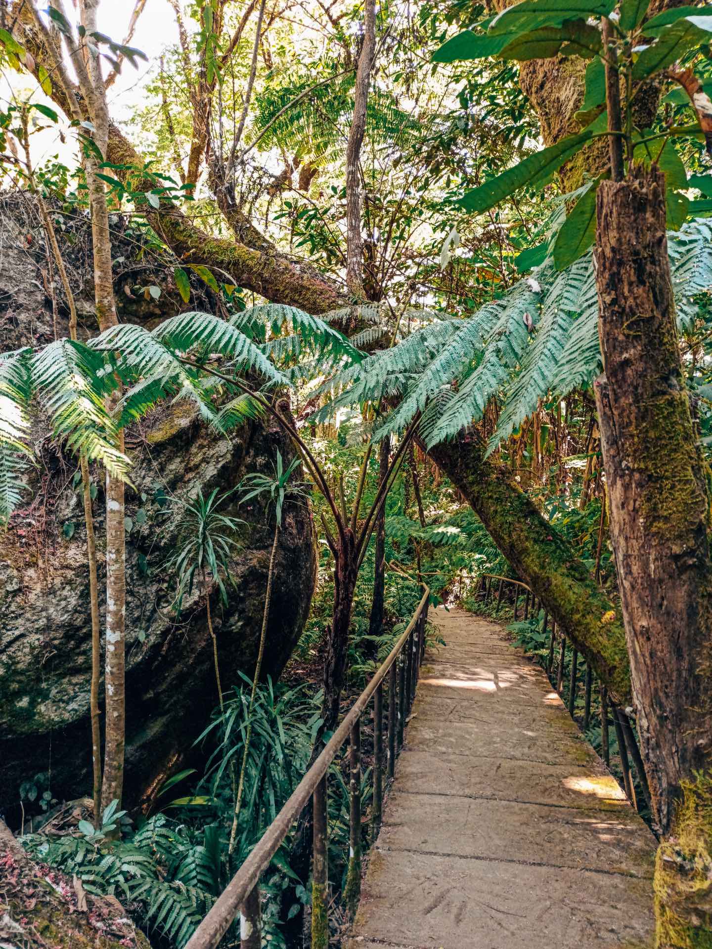 Qué ver y hacer en el Parque Nacional Doi Inthanon | Travelling to live
