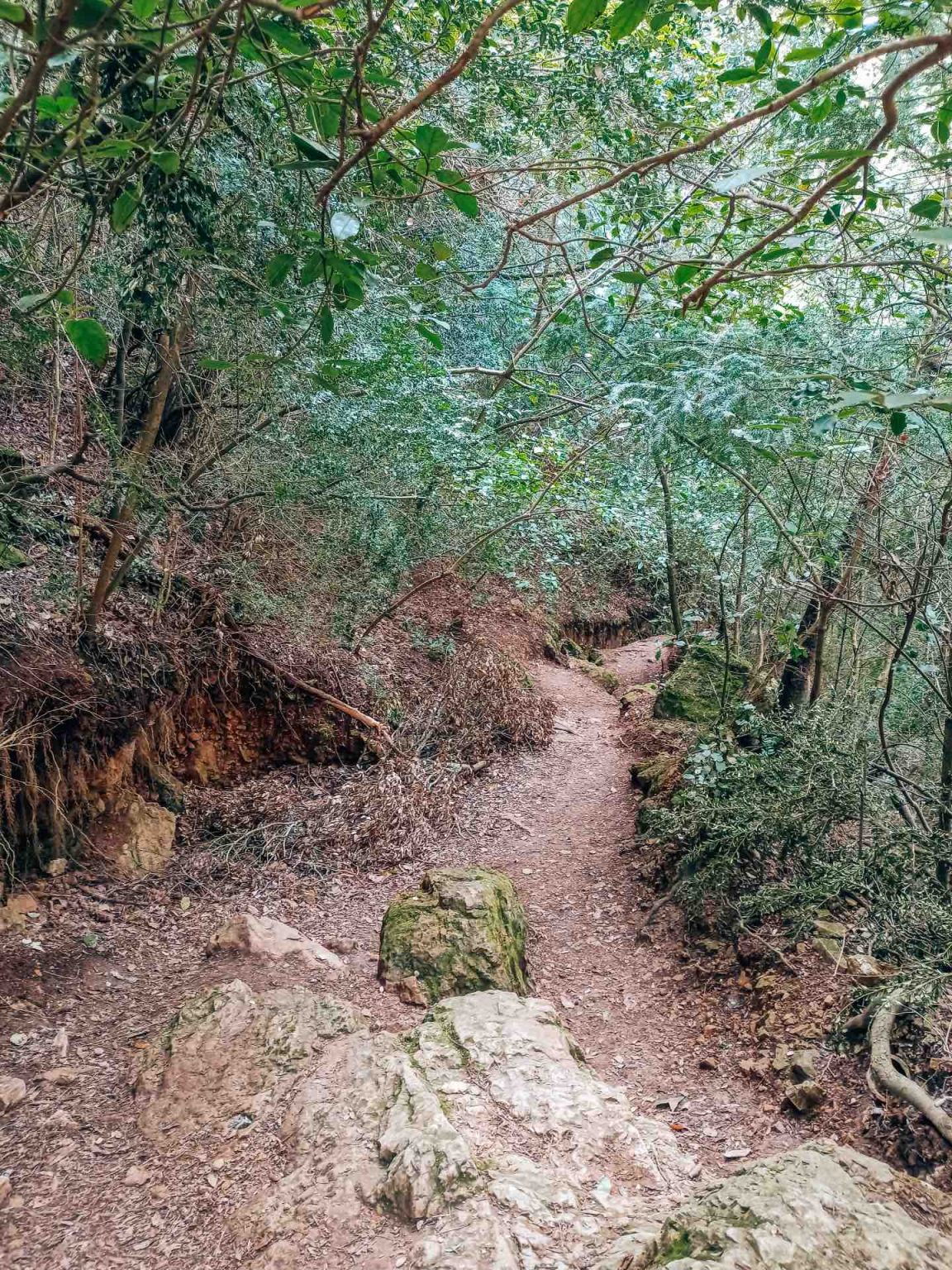 Ruta circular por los Gorgs de la Febró | Travelling to live