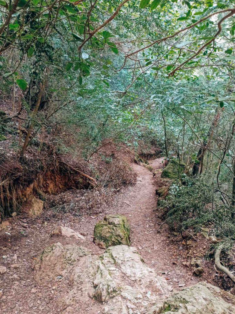 Ruta circular por los Gorgs de la Febró | Travelling to live