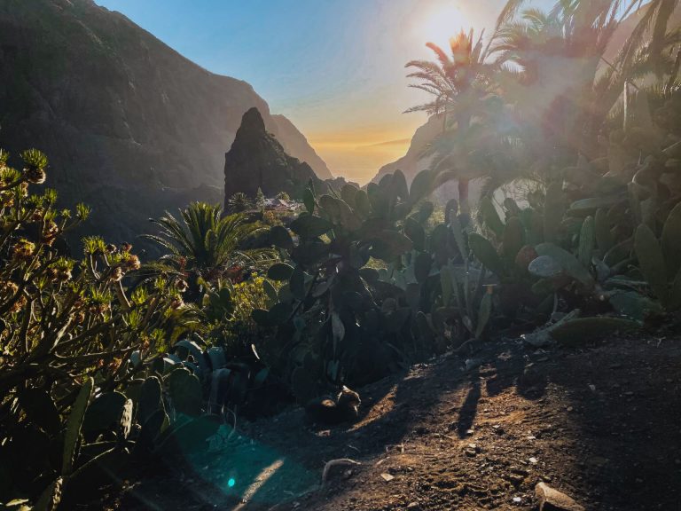 Qué ver en Masca, el pueblo más bonito de Tenerife | Travelling to live