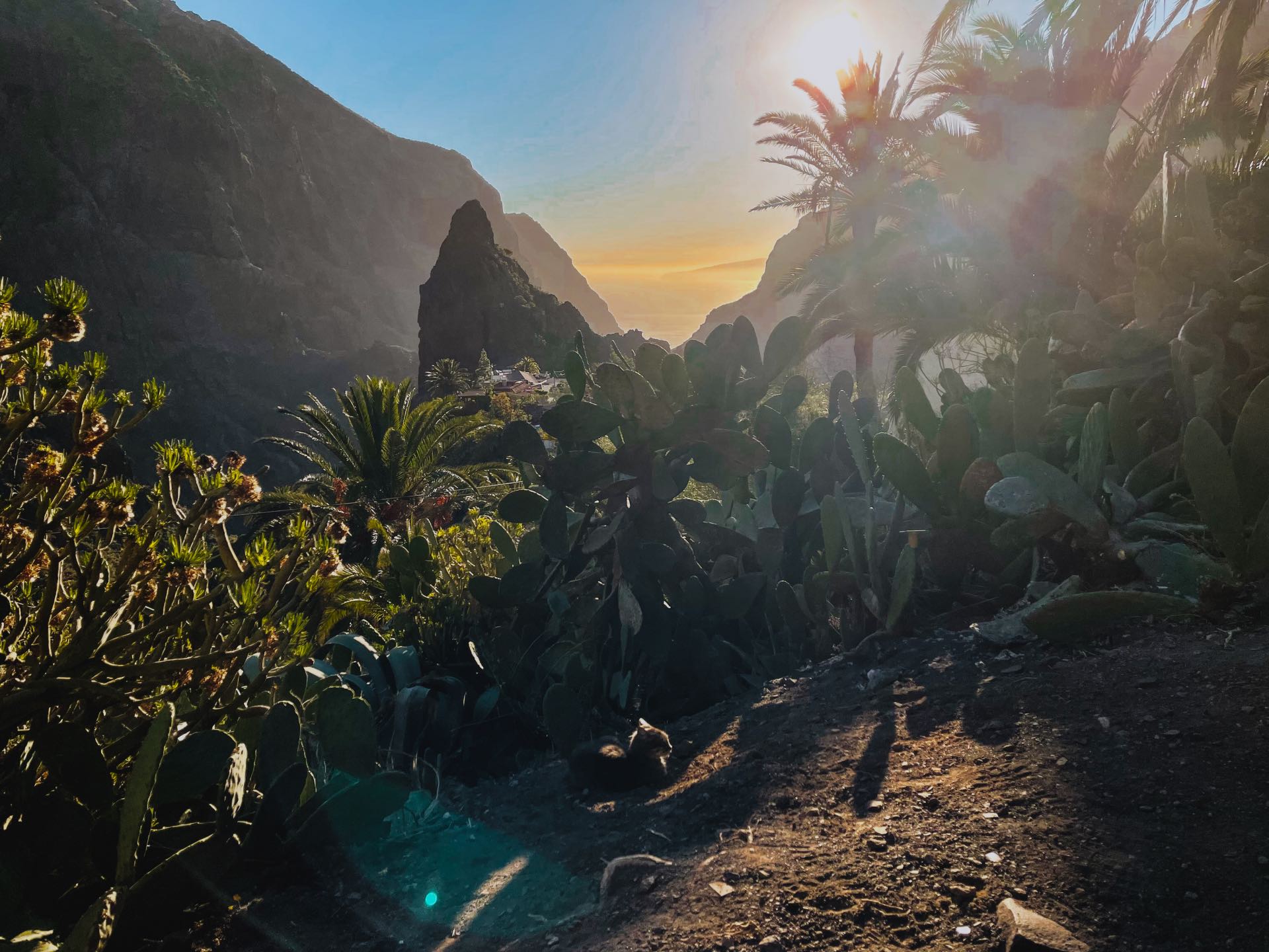 Qué ver en Masca, el pueblo más bonito de Tenerife | Travelling to live