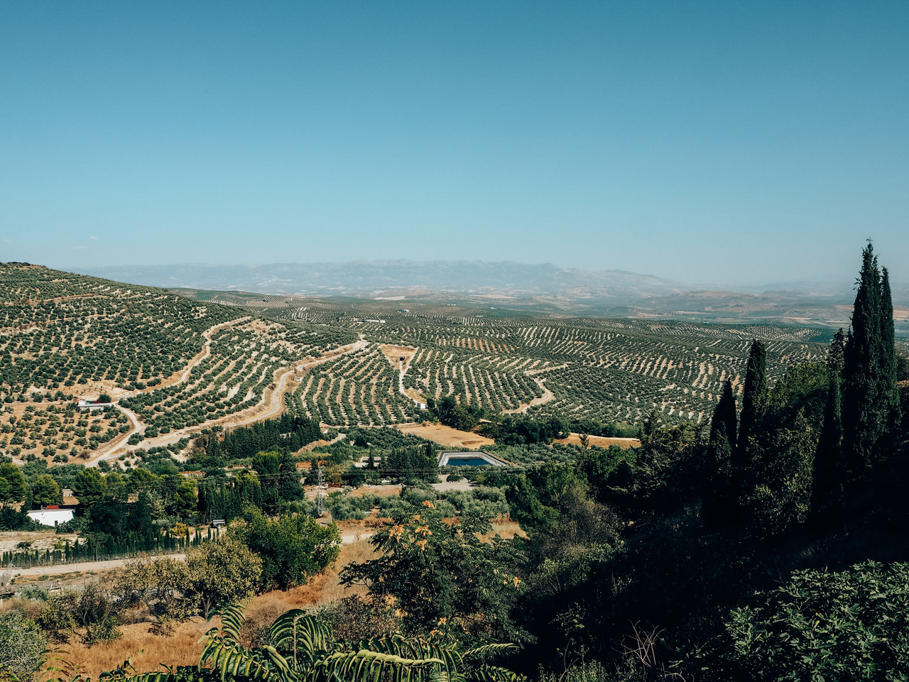 Los 20 imprescindibles que ver en Úbeda en un día | Travelling to live